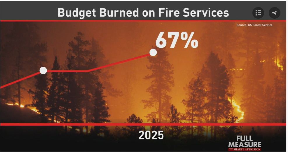 WATCH: Efforts to stop burning through the fire budget | Sharyl Attkisson