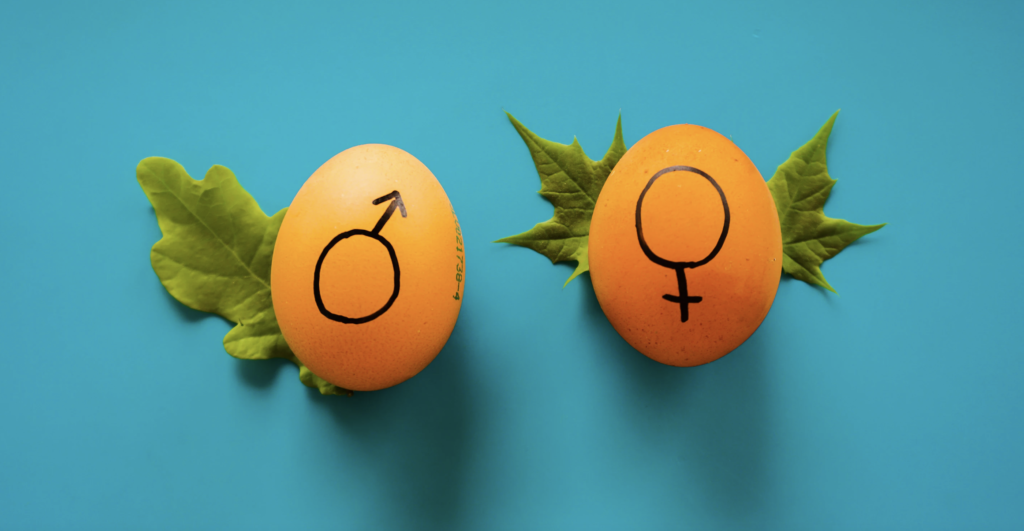 (POLL) 99% say there are 2 genders | Sharyl Attkisson